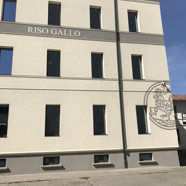 La culture du riz et du risotto Riso Gallo en Italie Mimi Cuisine, Blog ...